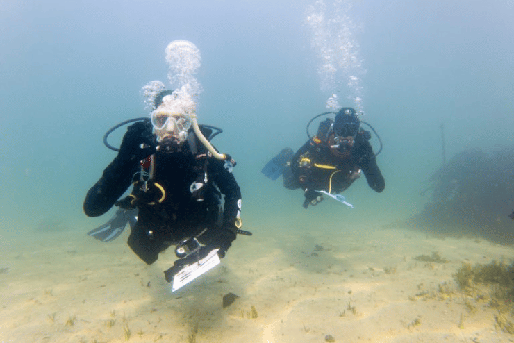 Cape RADD - What's on in Joburg