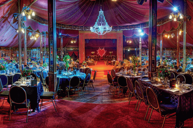 Royal Countess Zingara: La Dolce Royal - Whats on in Cape Town