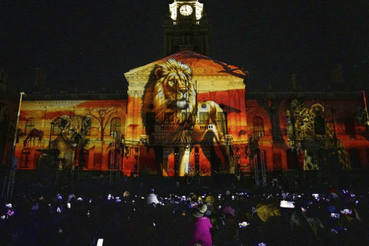 Festive Lights Switch-On - Whats on in Cape Town