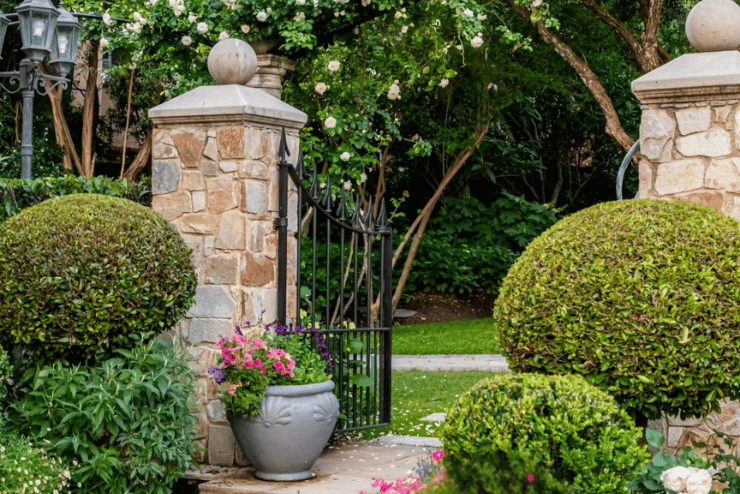 Johannesburg Garden Club Open Garden - Whats on in Cape Town