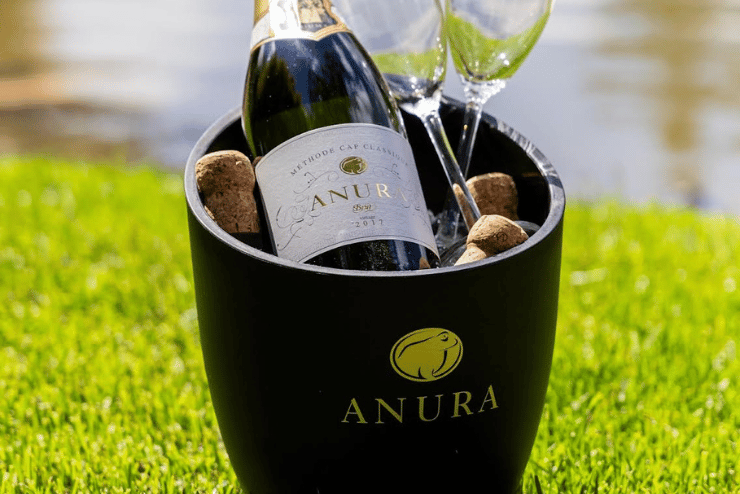 The Bubbly Festival - What's on in Joburg