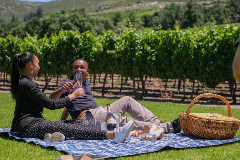Picnics at Laborie - What's on in Joburg